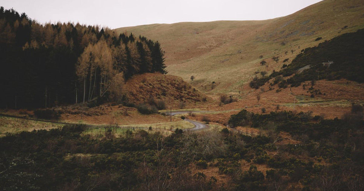 Black Friday – Top 5 Footwear – tagged "" – Millets