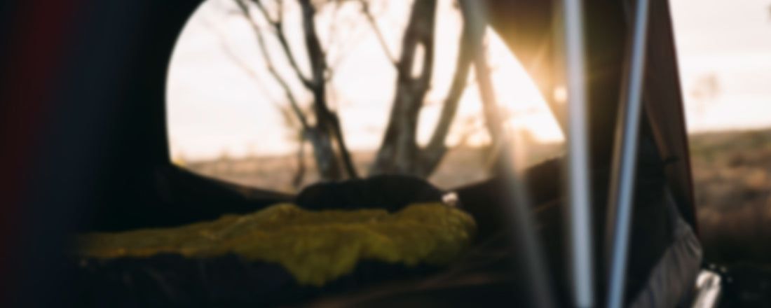 Black Imax Oceanic Thermo Suit – Millets