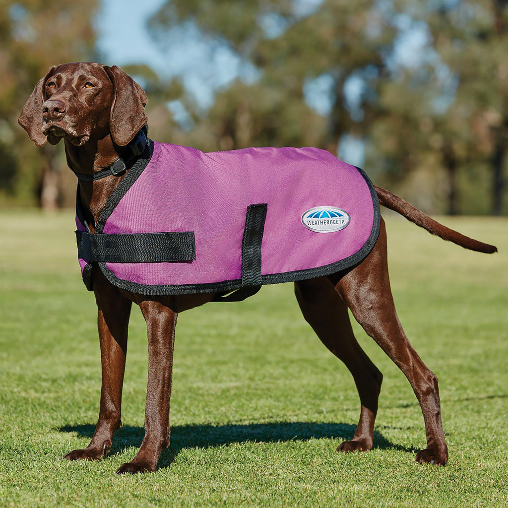 Pink Weatherbeeta Comfitec Classic Dog Coat – Millets